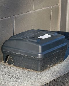 Rodents - Paradise Environmental Services